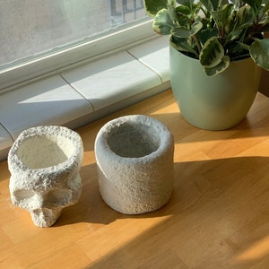 Skull Mycelium Pot, Wall Planter Gift, Succulent Planter Gift, Desk ...