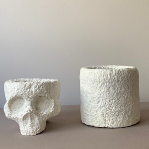 Skull Mycelium Pot, Wall Planter Gift, Succulent Planter Gift, Desk ...