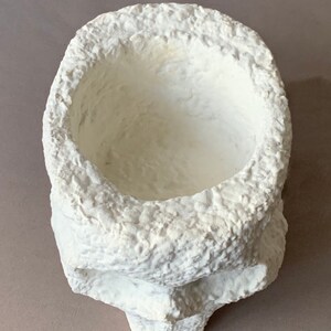 Skull Mycelium Pot, Wall Planter Gift, Succulent Planter Gift, Desk ...