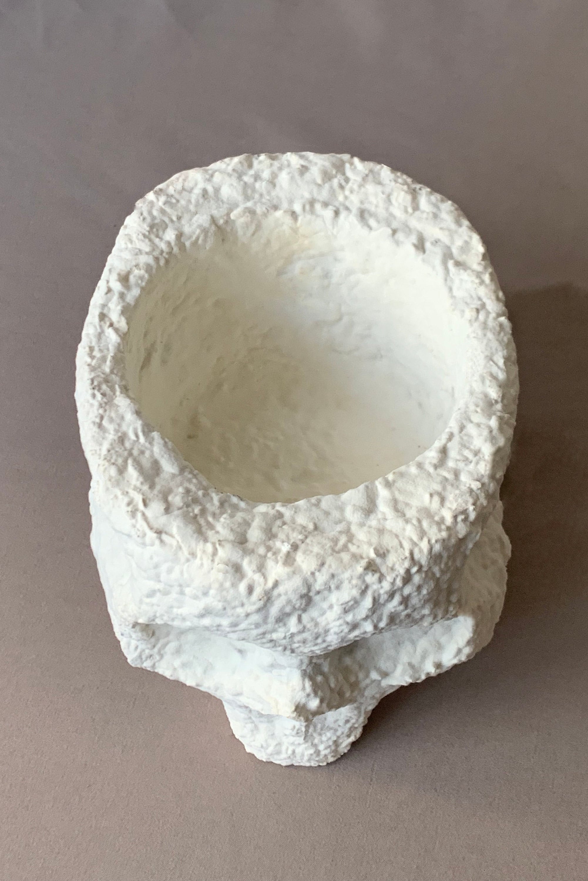 Skull Mycelium Pot, Wall Planter Gift, Succulent Planter Gift, Desk ...