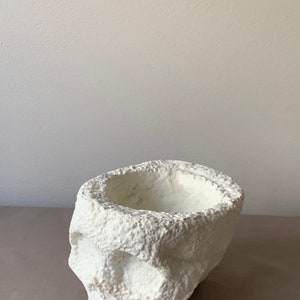 Skull Mycelium Pot, Wall Planter Gift, Succulent Planter Gift, Desk ...