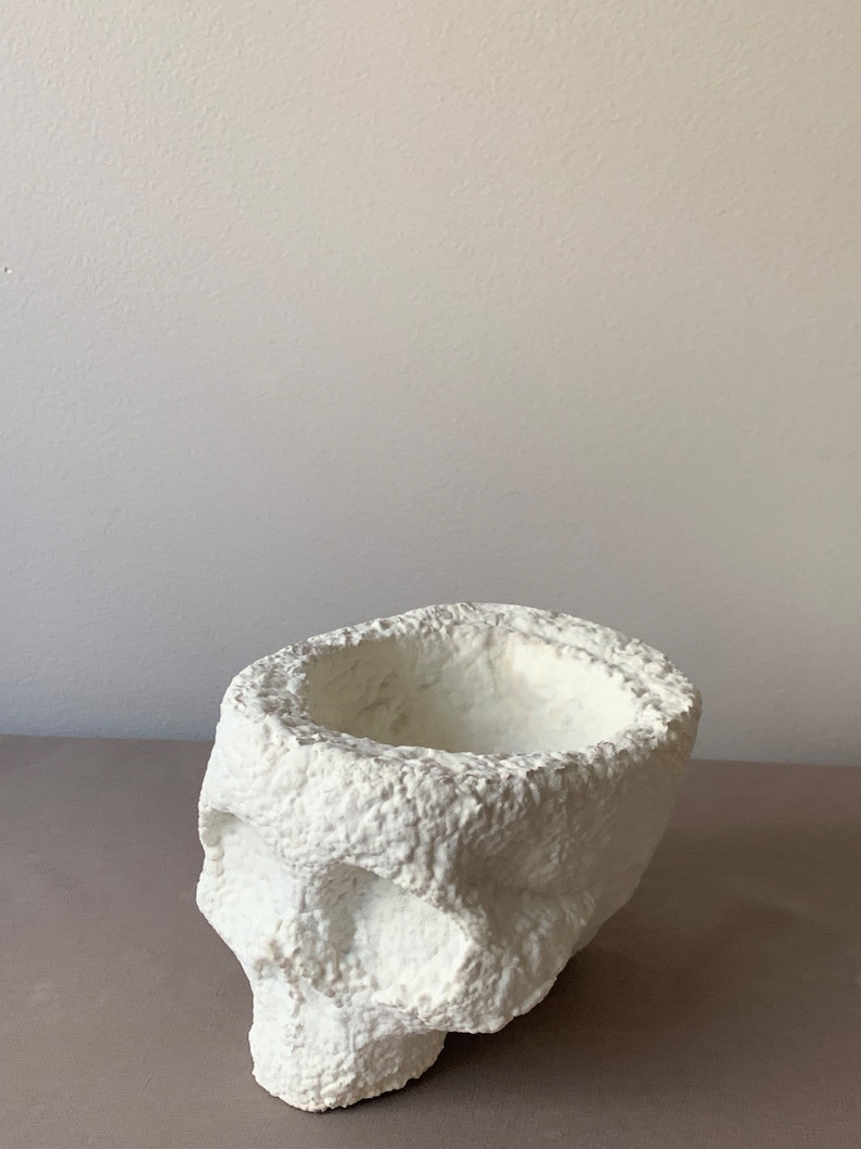 Skull Mycelium Pot, Wall Planter Gift, Succulent Planter Gift, Desk ...