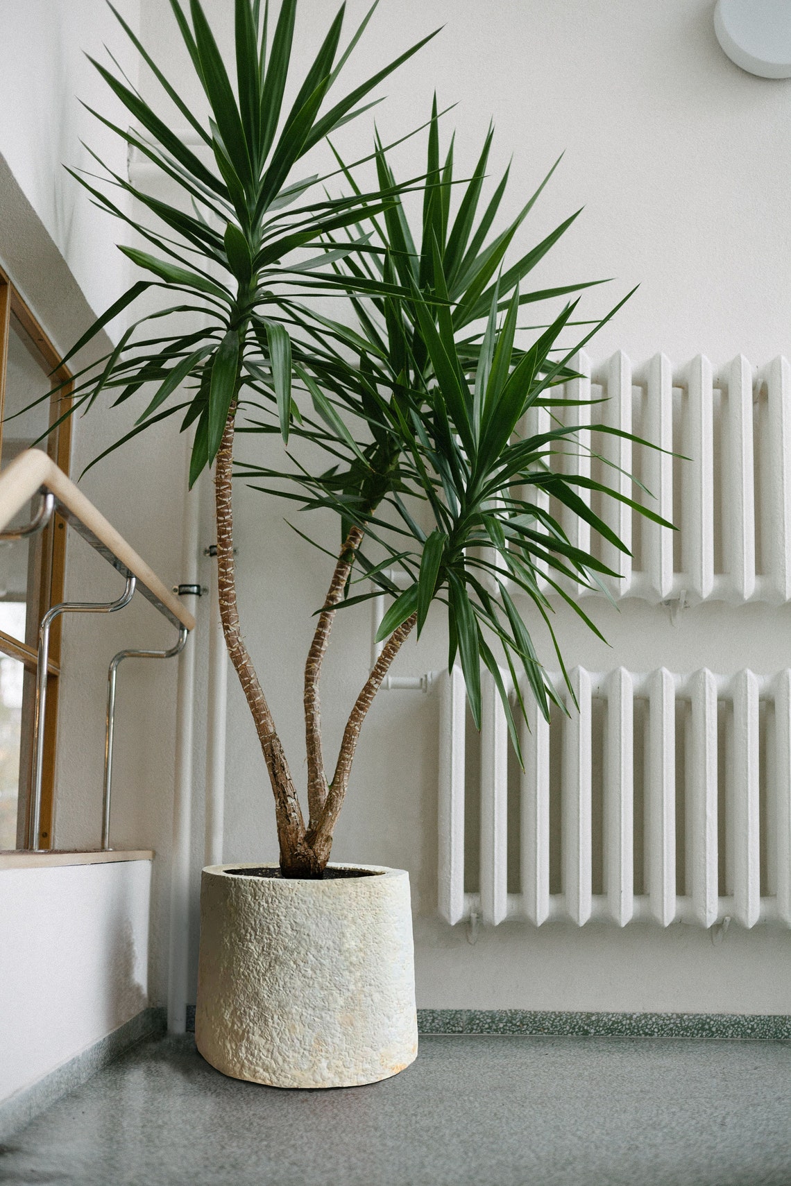 Large Planter, Mycelium Planter, Sustainable Gift, Eco-friendly Product ...