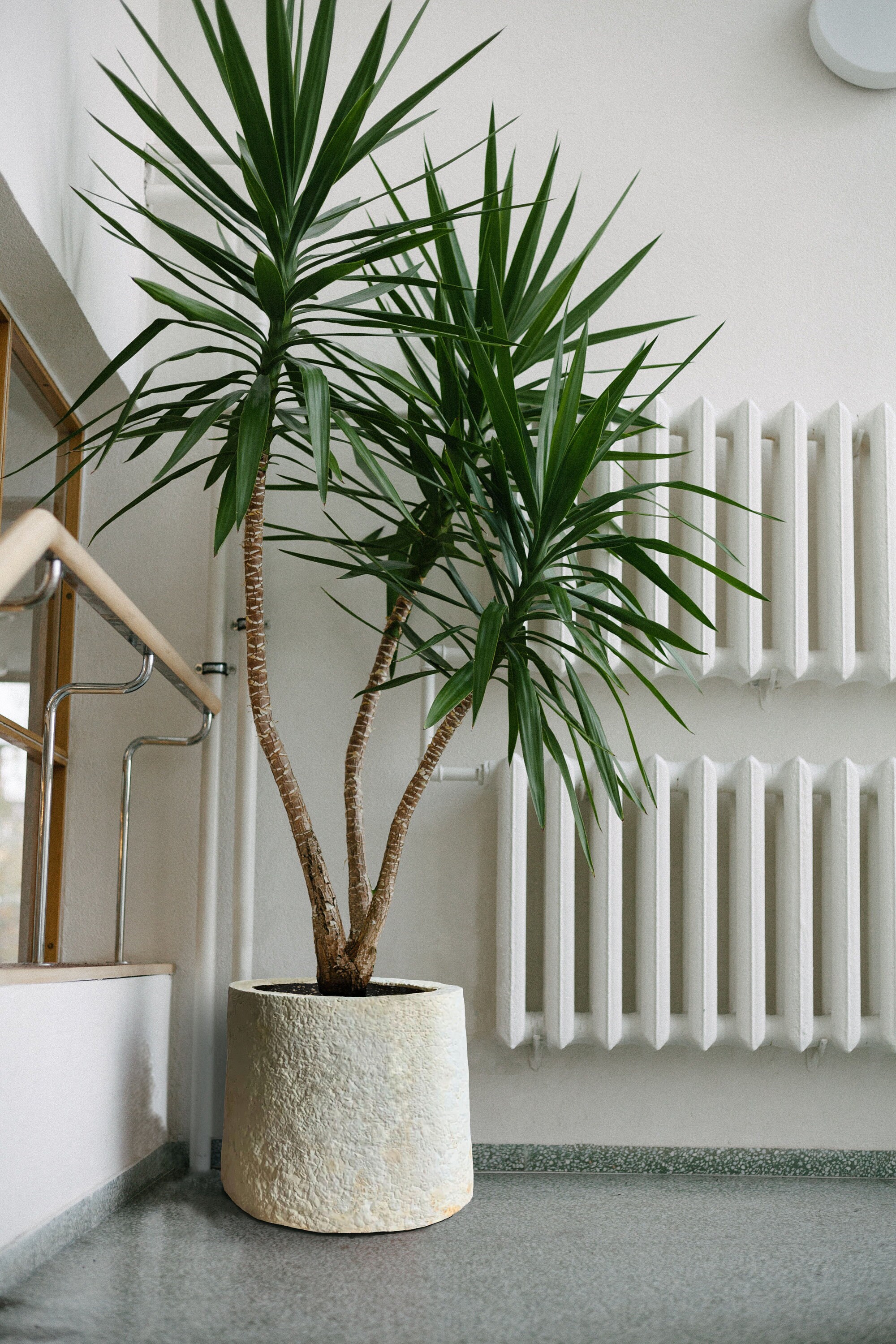 Large Planter, Mycelium Planter, Sustainable Gift, Eco-friendly Product ...