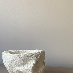 Skull Mycelium Pot, Wall Planter Gift, Succulent Planter Gift, Desk ...