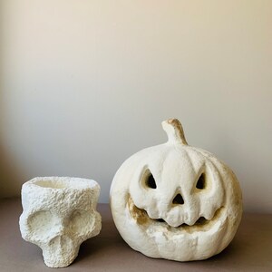 Skull Mycelium Pot, Wall Planter Gift, Succulent Planter Gift, Desk ...