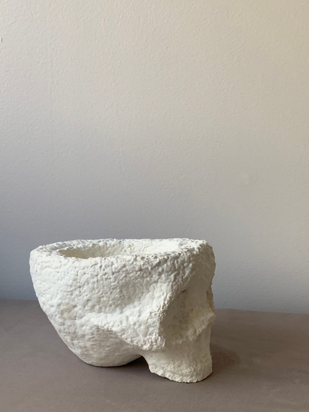 Skull Mycelium Pot, Wall Planter Gift, Succulent Planter Gift, Desk ...