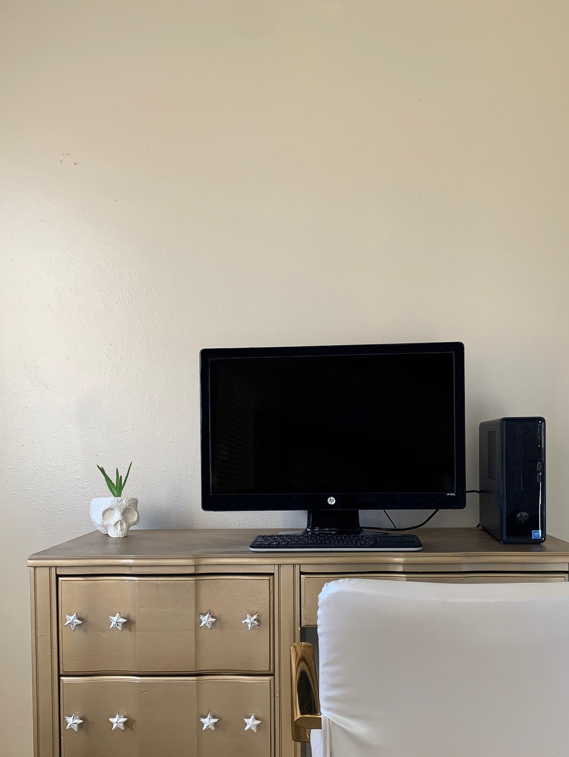 Skull Mycelium Pot, Wall Planter Gift, Succulent Planter Gift, Desk ...