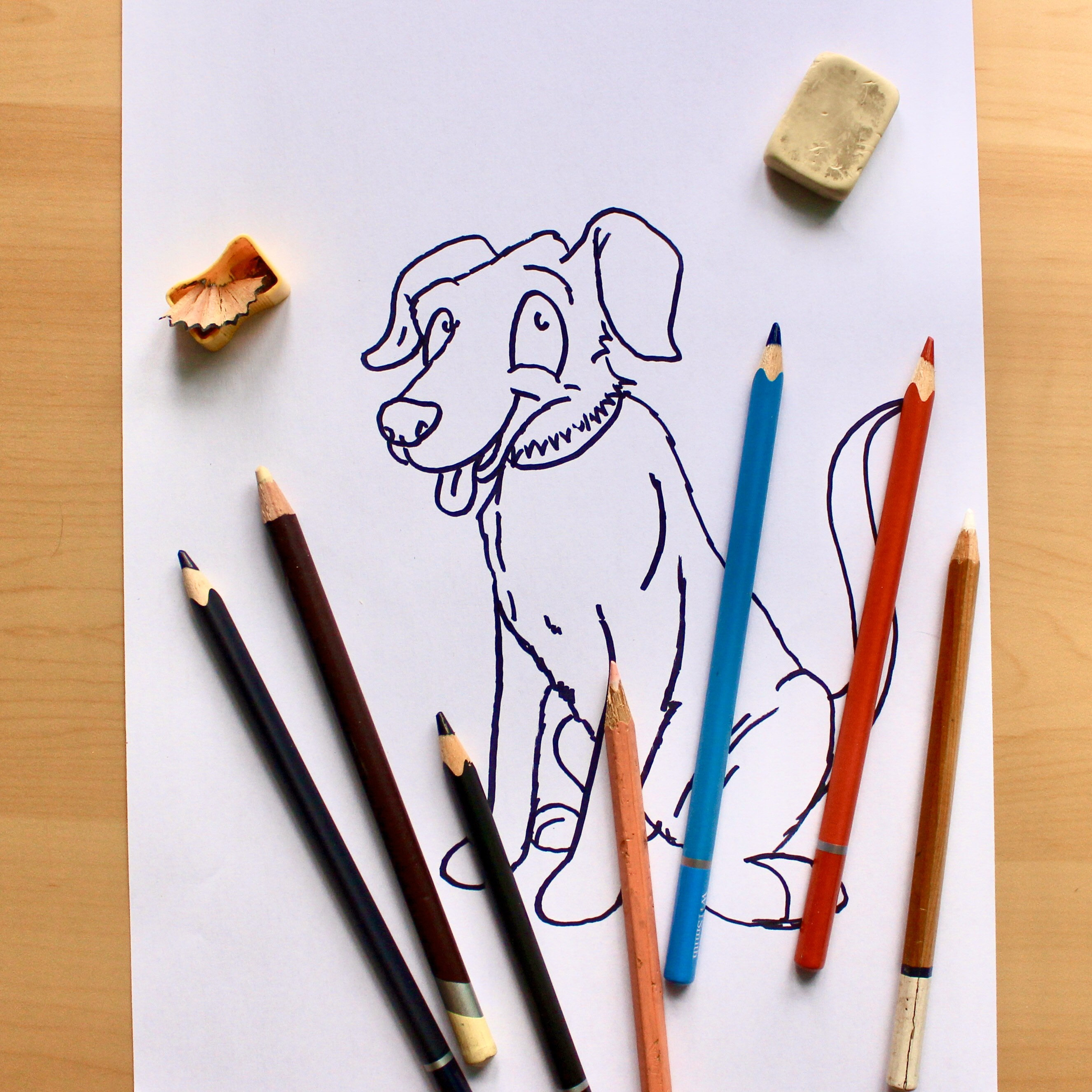 Dog Breeds, Printable Colouring Pack - Etsy UK