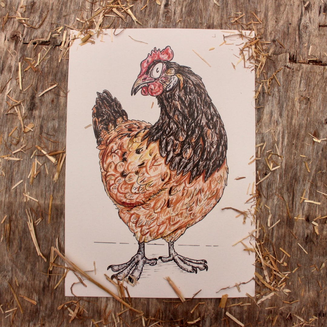 Vorwerk Hen Print Chicken Breeds Art Print 100% Recycled Paper A4 ...