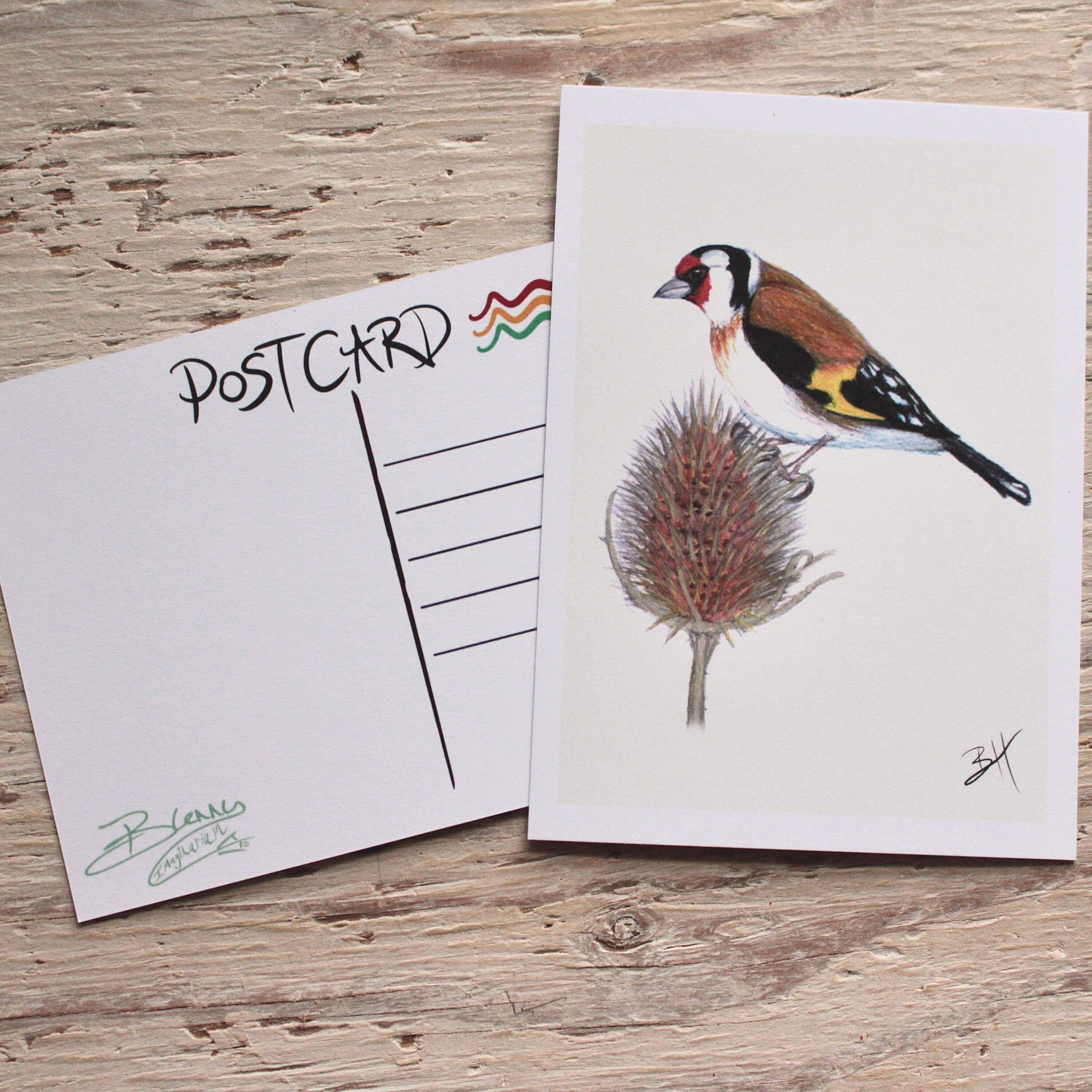 Garden Birds Set of 3 Postcards A6 Frameable Prints - Etsy UK