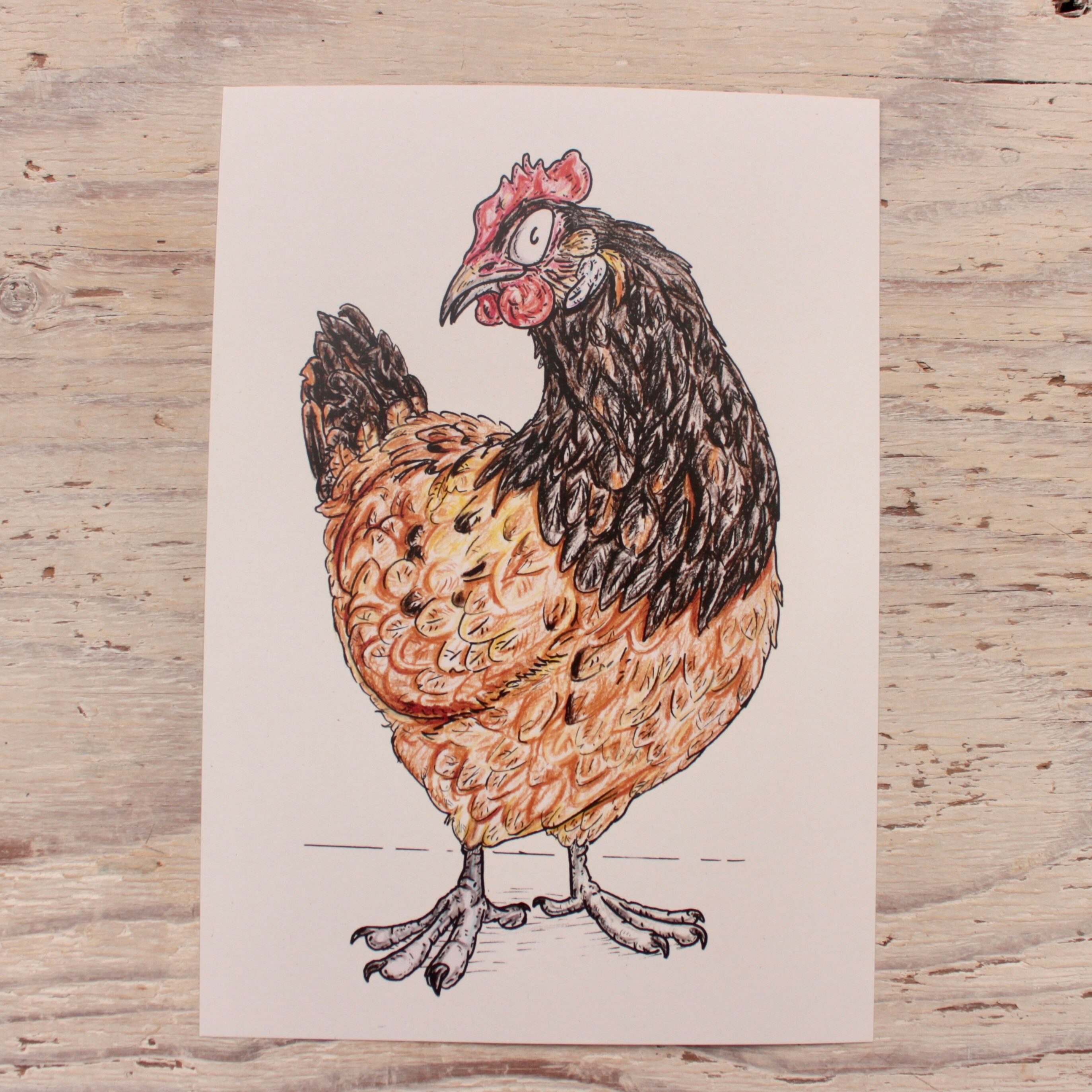 Vorwerk Hen Print Chicken Breeds Art Print 100% Recycled Paper A4 ...