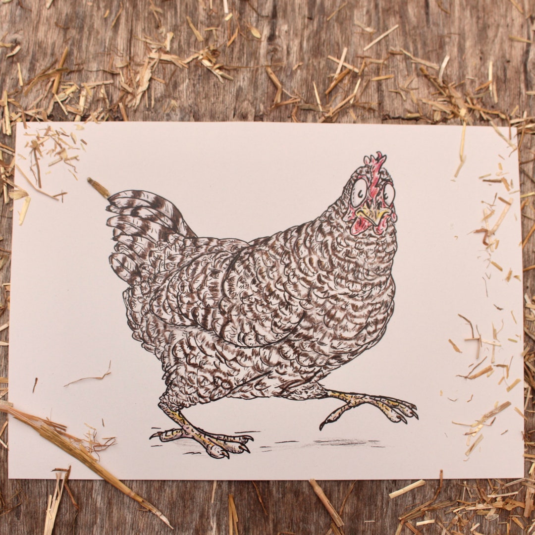 LIMITED EDITION | Scots Grey Hen Print | Chicken Breeds Art Print | 100 ...