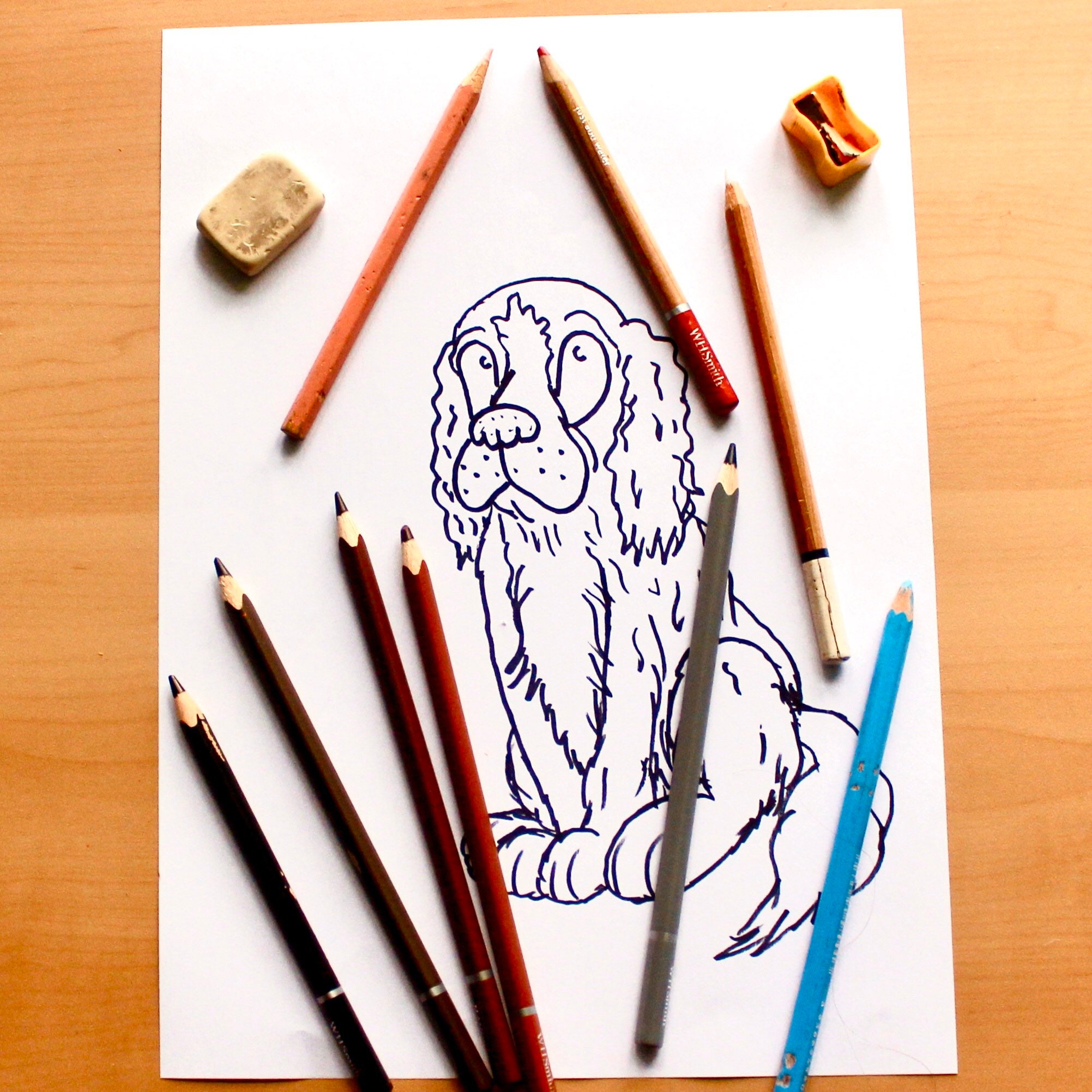 Dog Breeds, Printable Colouring Pack - Etsy UK