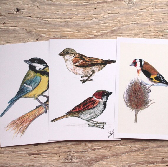 Garden Birds Set of 3 Postcards A6 Frameable Prints | Etsy UK