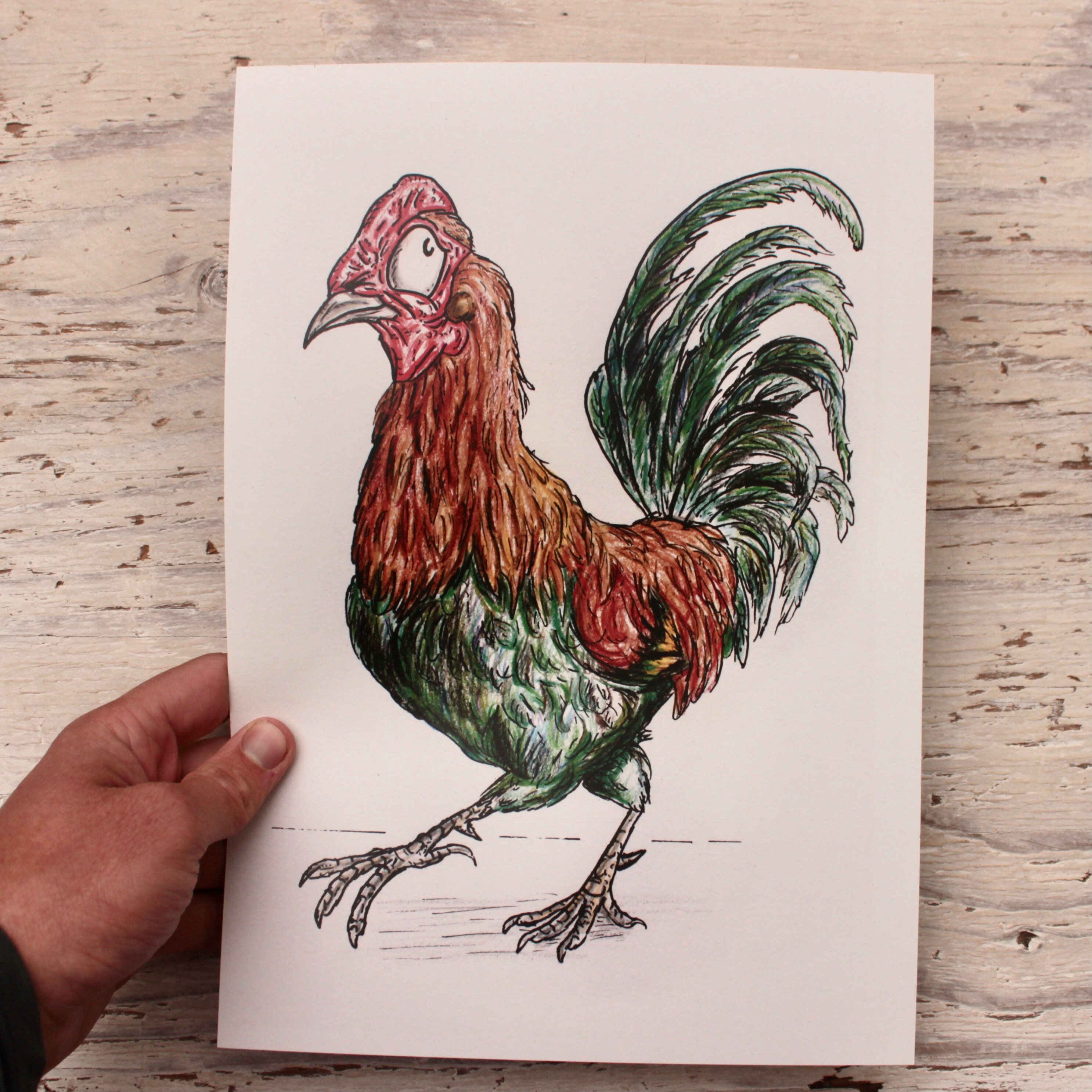 LIMITED EDITION 3 Breeds of Chicken Set of 3 Chicken - Etsy Canada