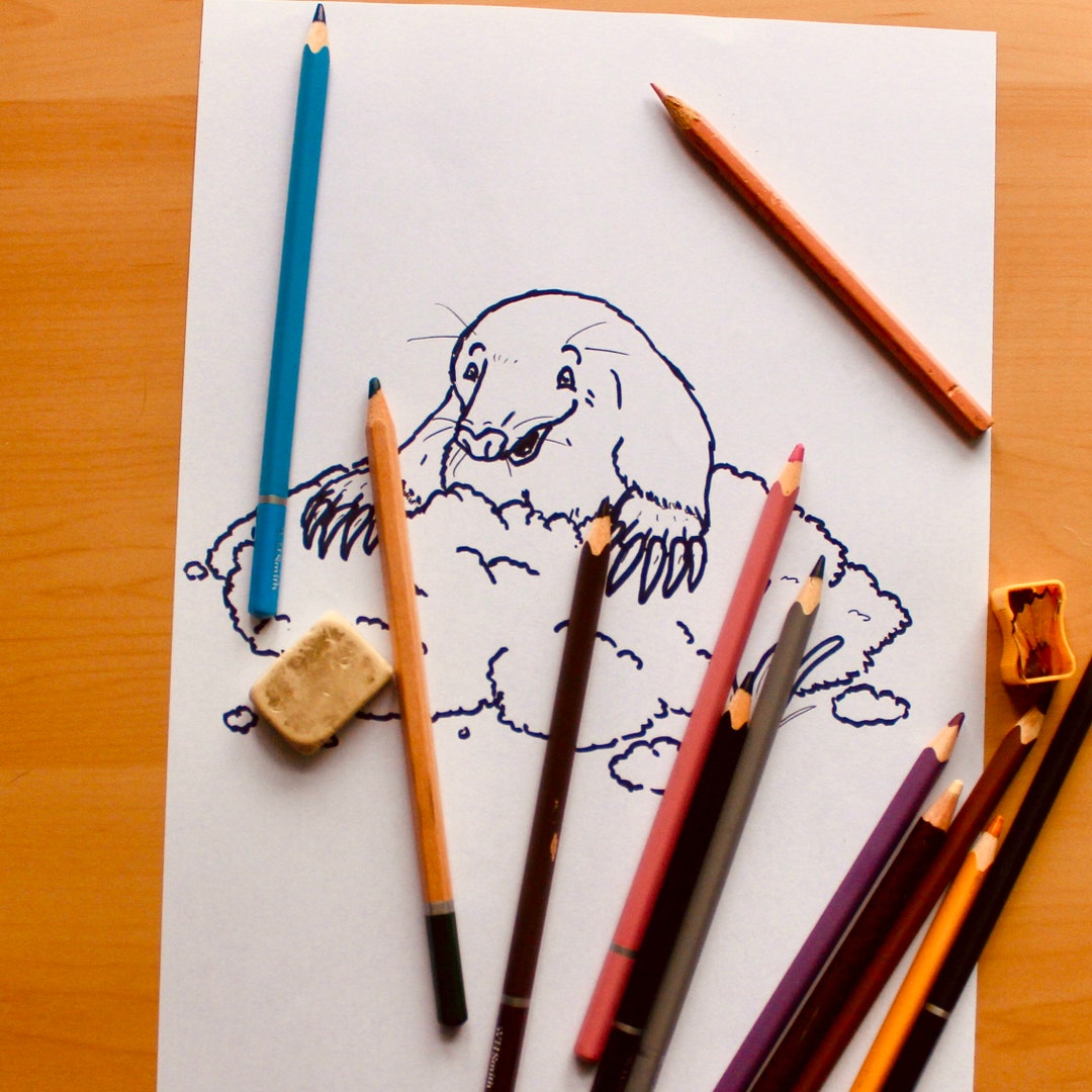 Molly the Mole - 2 Page Printable Colouring Sheet - Etsy