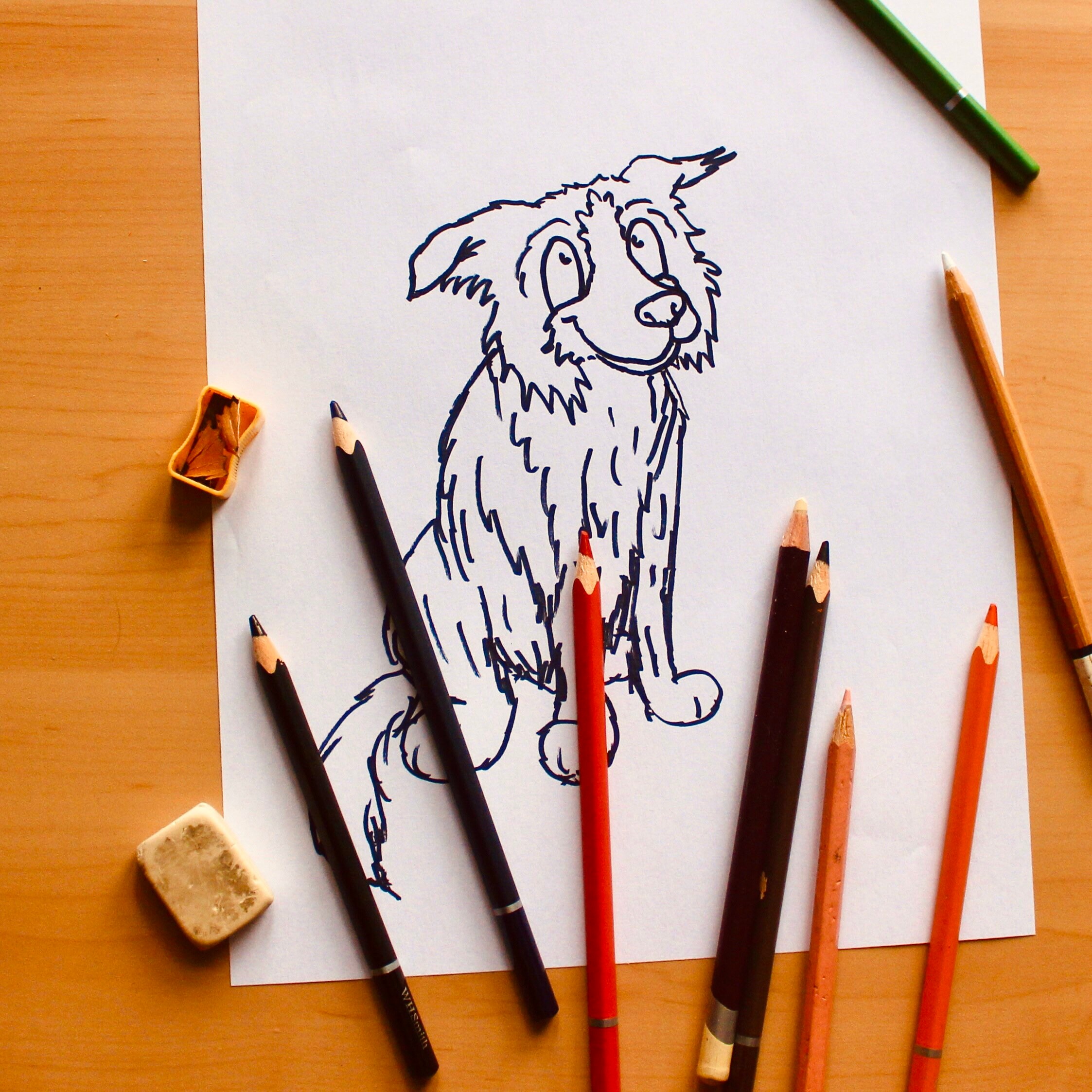 Dog Breeds, Printable Colouring Pack - Etsy UK