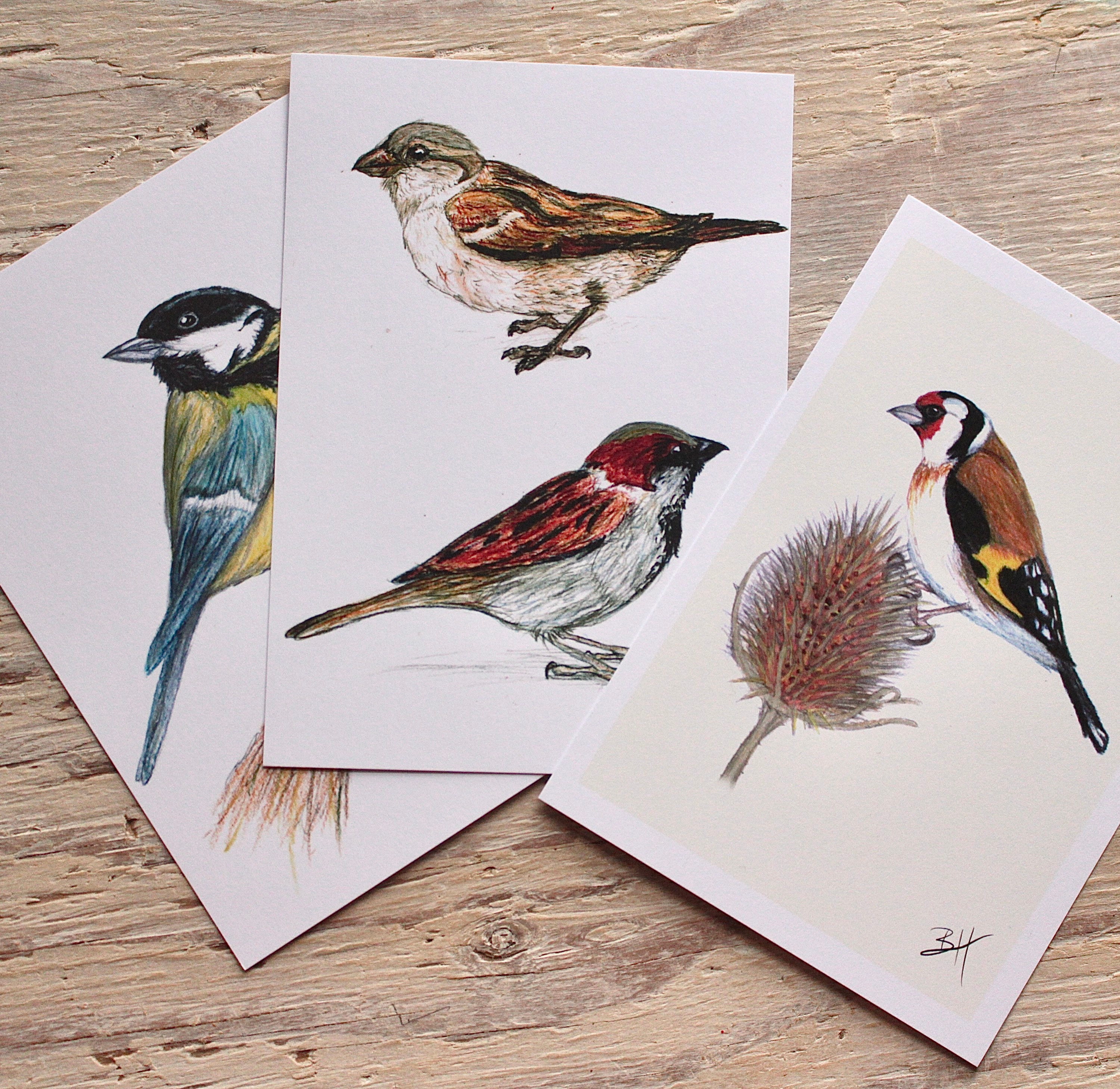 Garden Birds Set of 3 Postcards A6 Frameable Prints - Etsy UK