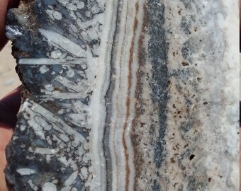 Silver Lace Onyx - Etsy