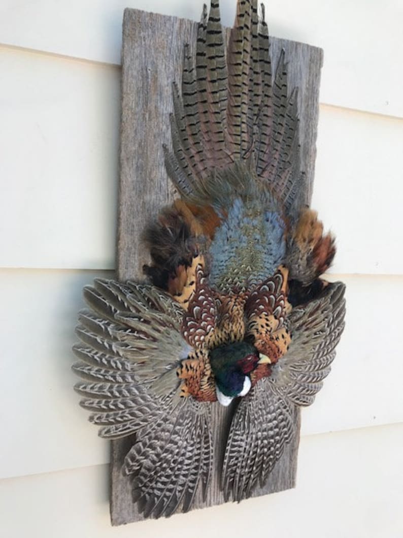 PHEASANT MOUNT TAXIDERMY Raised on Weathered Barn Wood - Etsy