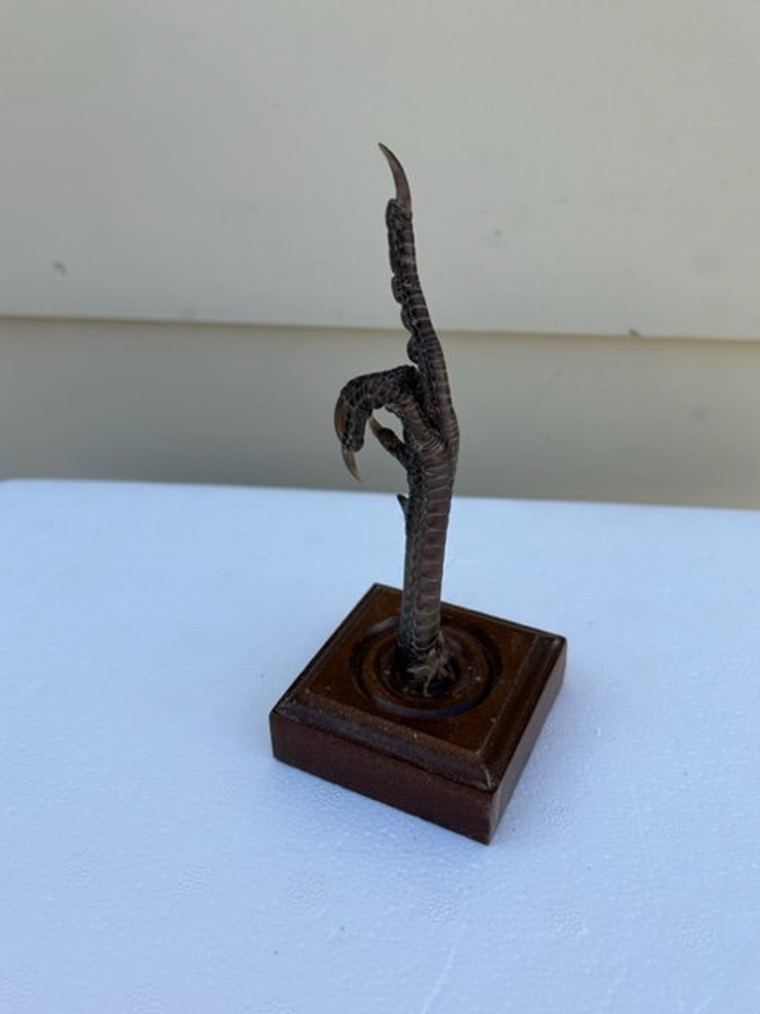 MIDDLE FINGER PHEASANT Foot - Etsy