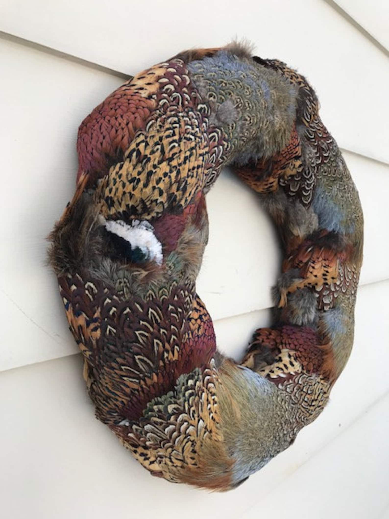 PHEASANT Feather WREATH Taxidermy 20 Inches 5 Pheasant Pelts - Etsy