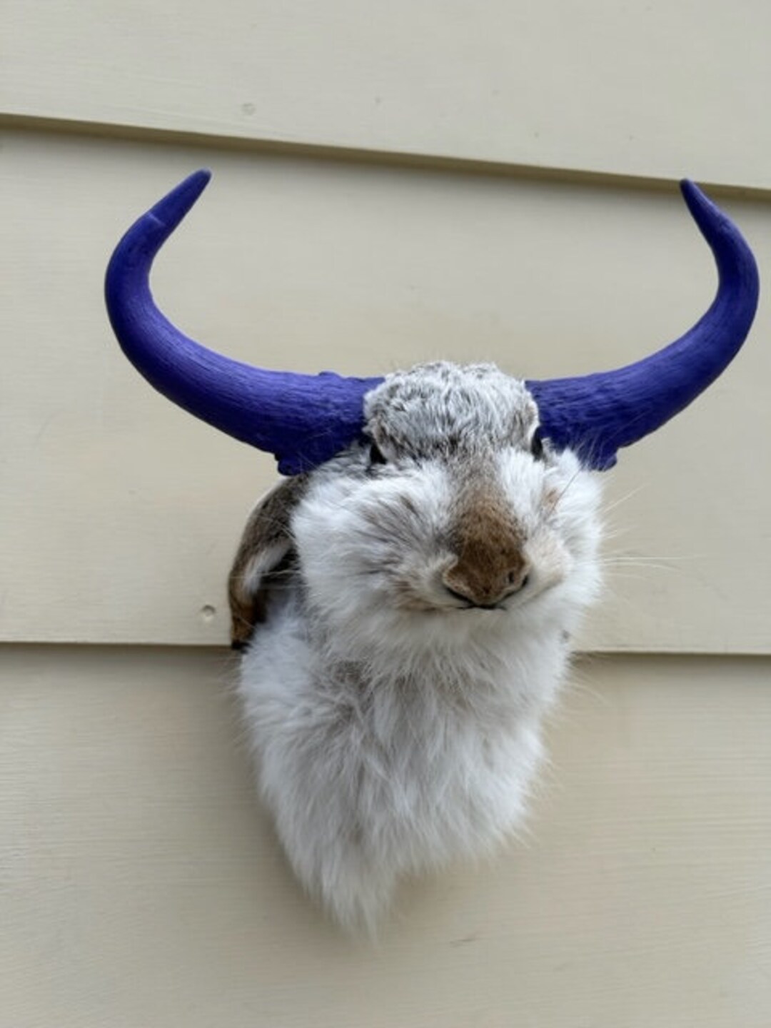 VIKING JACKALOPE or Vike-a-lope A Must for Any Viking Fan!! Real ...