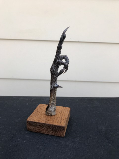 MIDDLE FINGER PHEASANT Foot - Etsy