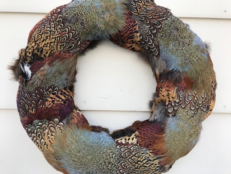 PHEASANT Feather WREATH Taxidermy 20 Inches 5 Pheasant Pelts - Etsy