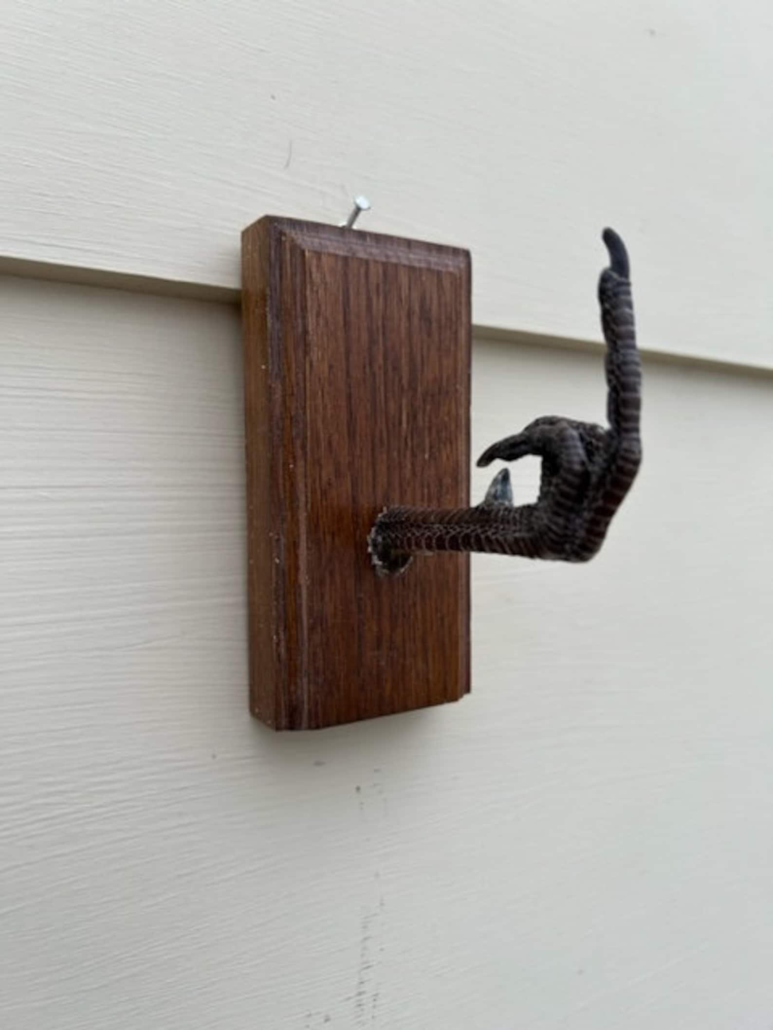 MIDDLE FINGER Pheasant Foot Wall Hanger Oak Dark Finish (real Pheasant ...