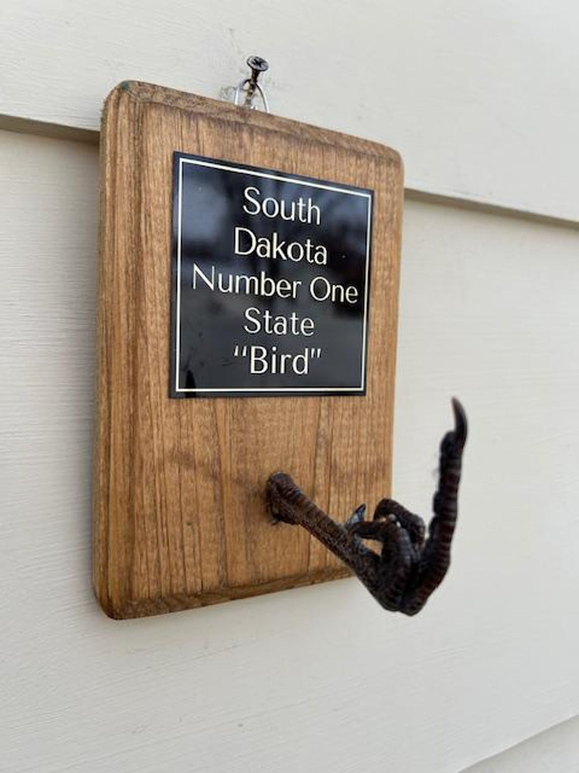 MIDDLE FINGER PHEASANT Foot Wall Hanger With South Dakota's Number One ...