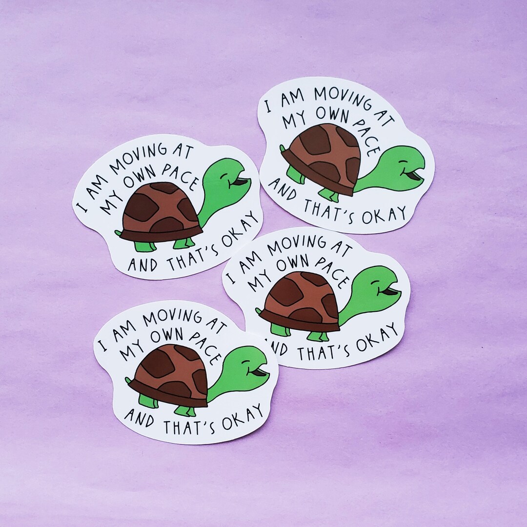 Tortoise Quote Die Cut Sticker - Etsy