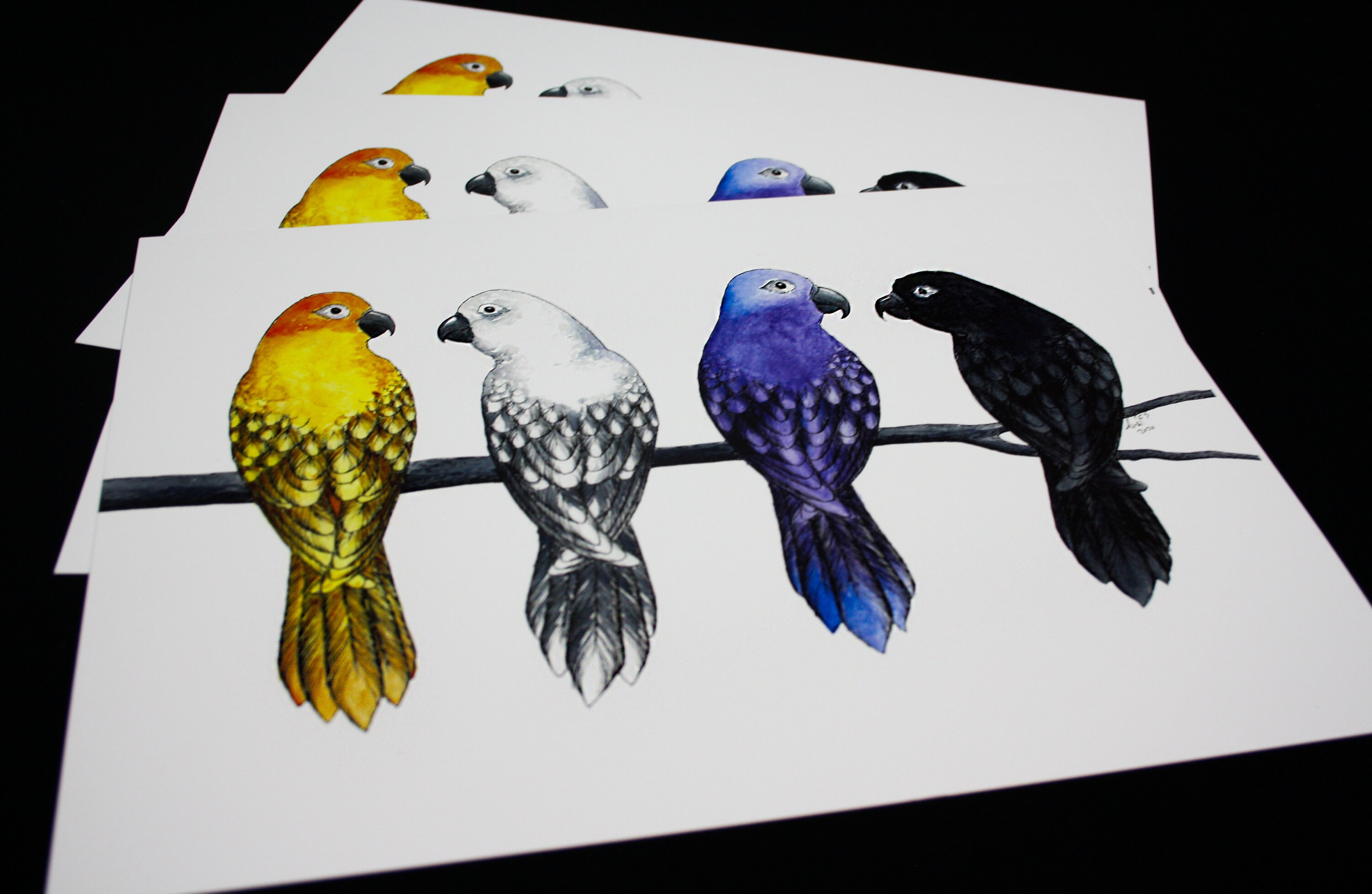 LGBT Pride Flags Watercolor Birds Art Prints - Etsy