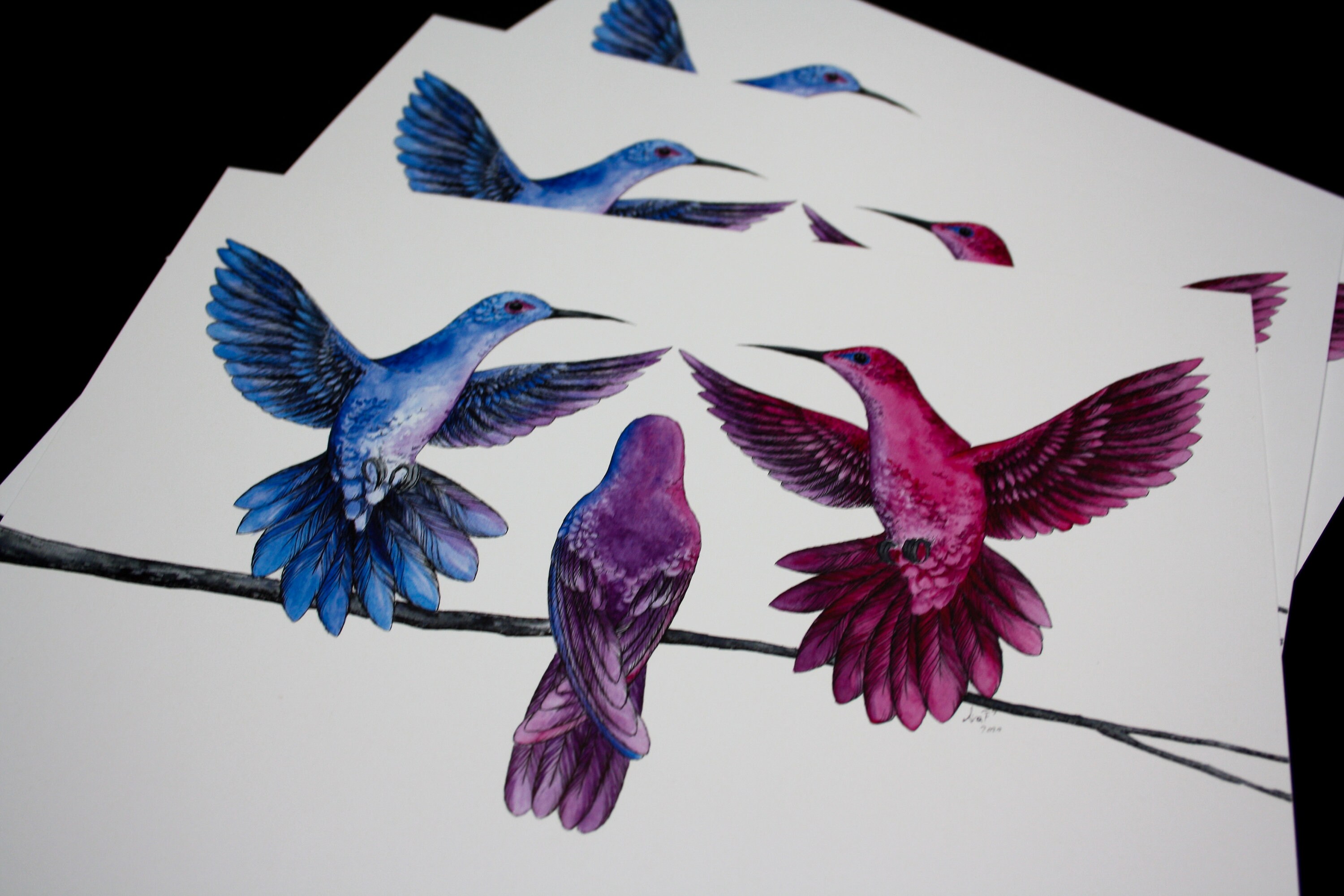 LGBT Pride Flags Watercolor Birds Art Prints - Etsy