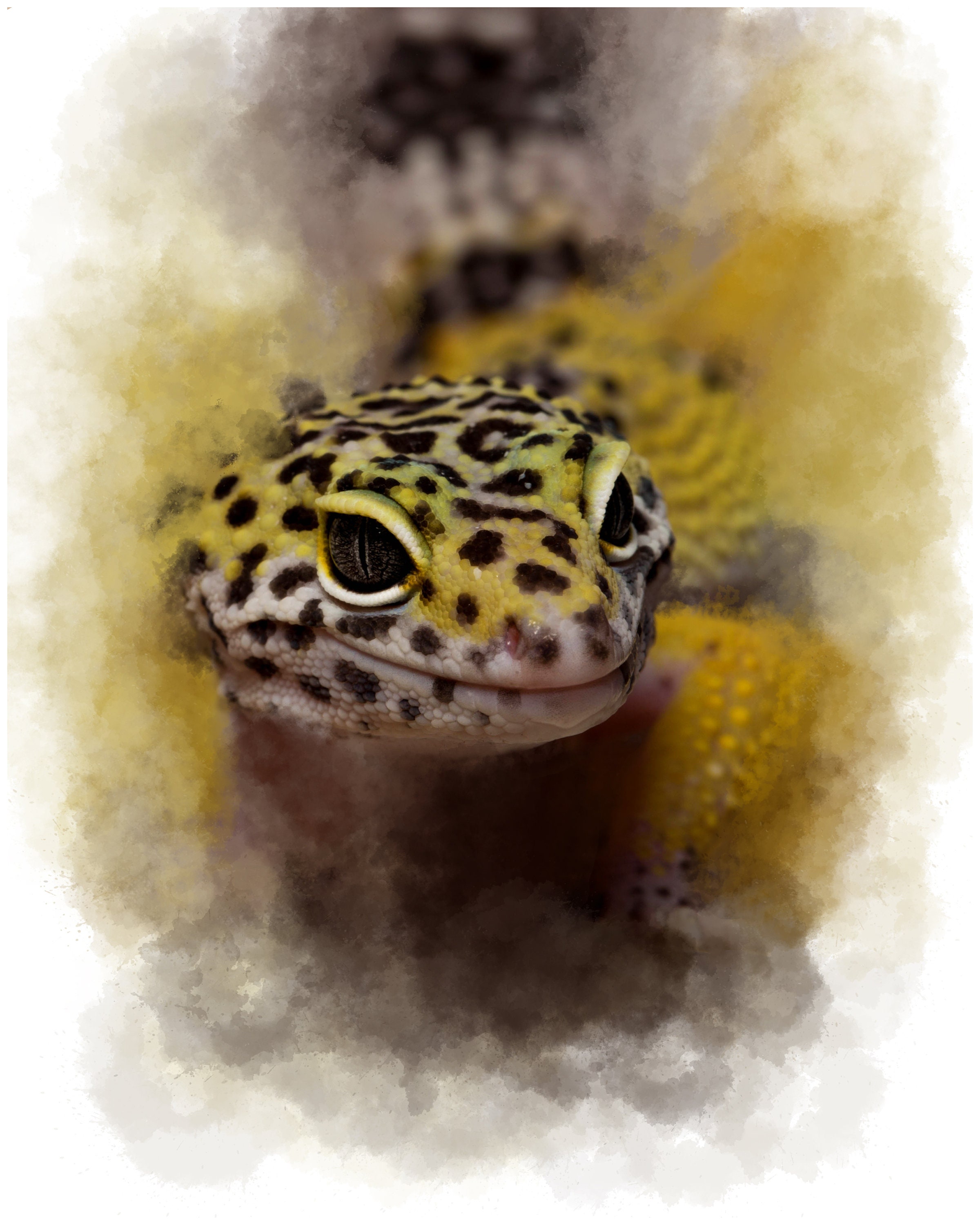 Leopard Gecko Watercolour A4 Print - Etsy