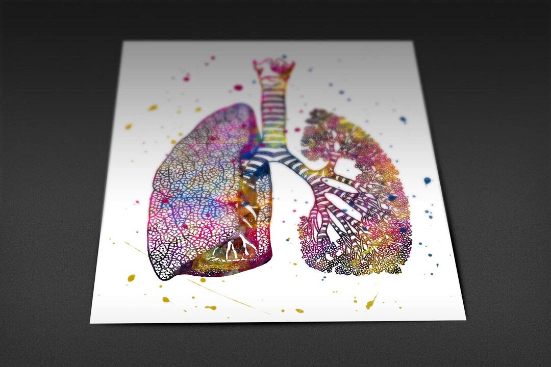 Human Lungs Anatomy Watercolor Print Medical Art Science Art Graduation ...