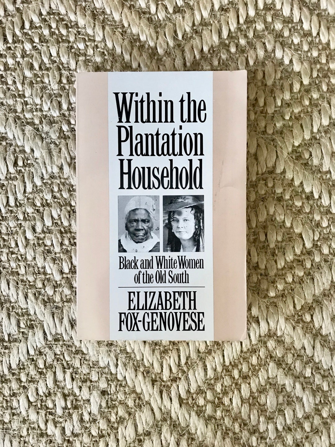 Within The Plantation Household Vintage Book Black And White Women In