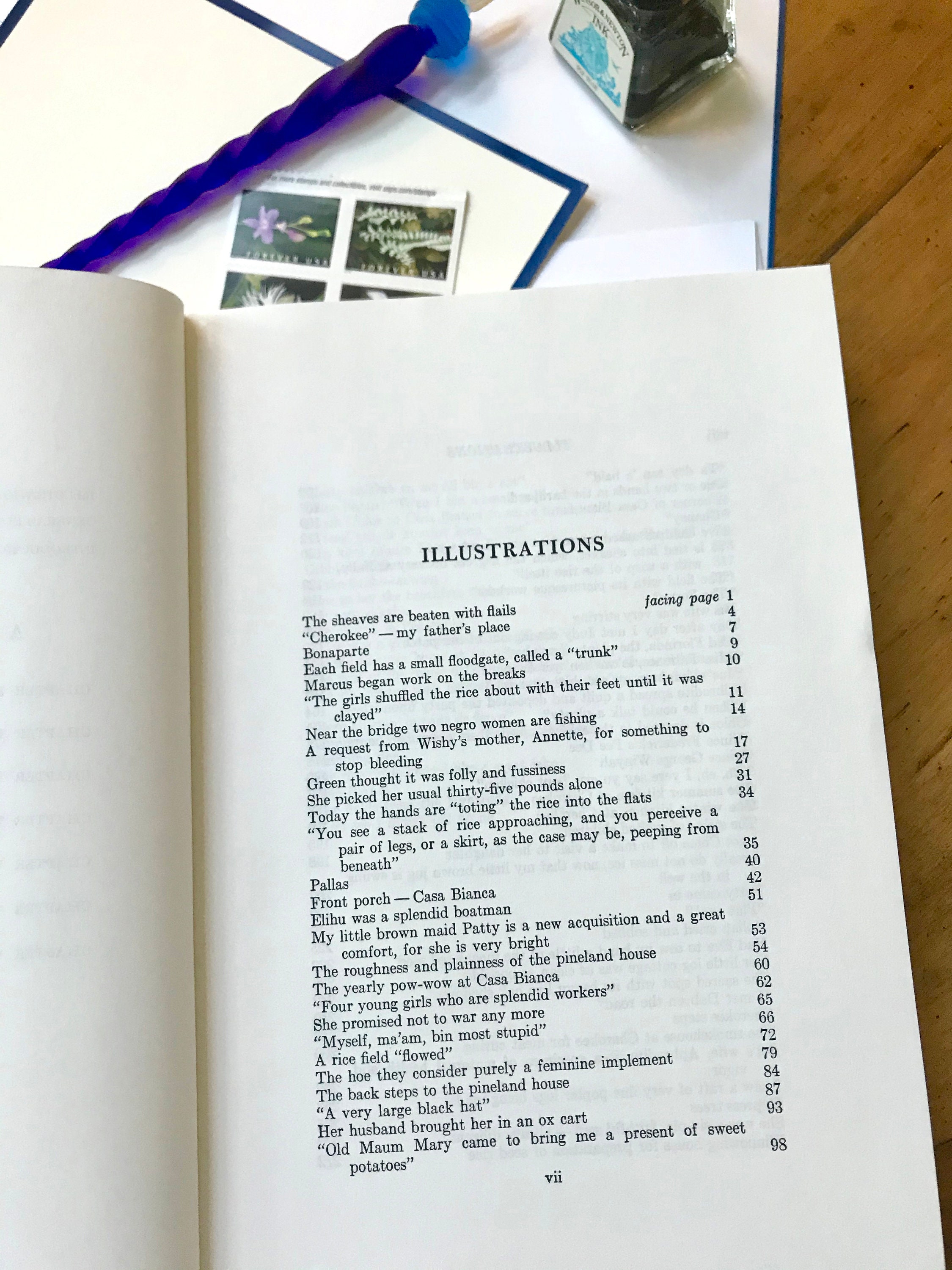 A Woman Rice Planter . Elizabeth Allston Pringle . 1992 - Etsy