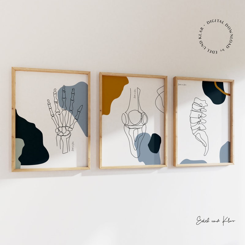 Anatomy Art - Etsy