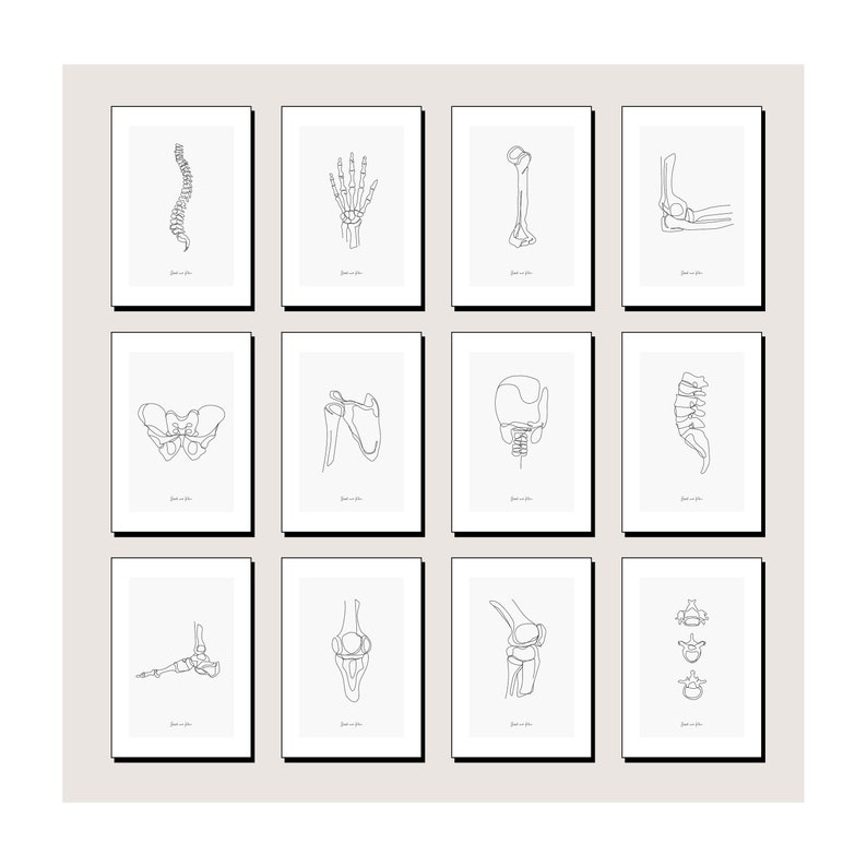 12 Human Skeleton Bundle | Medical Wall Art Anatomy, Bone Sketch Poster ...