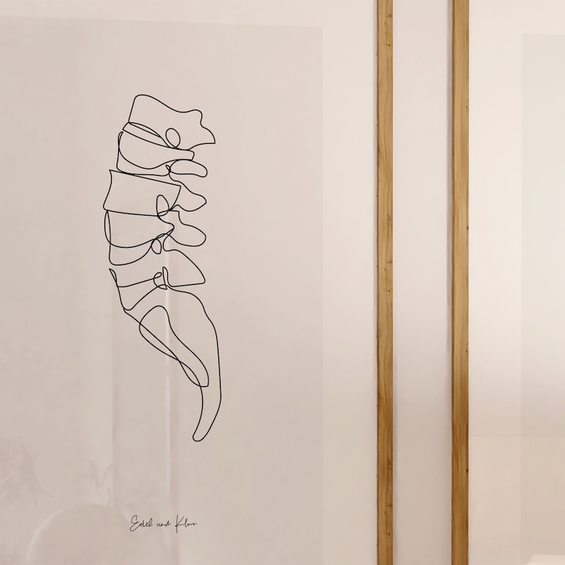 12 Human Skeleton Bundle Medical Wall Art Anatomy Bone - Etsy