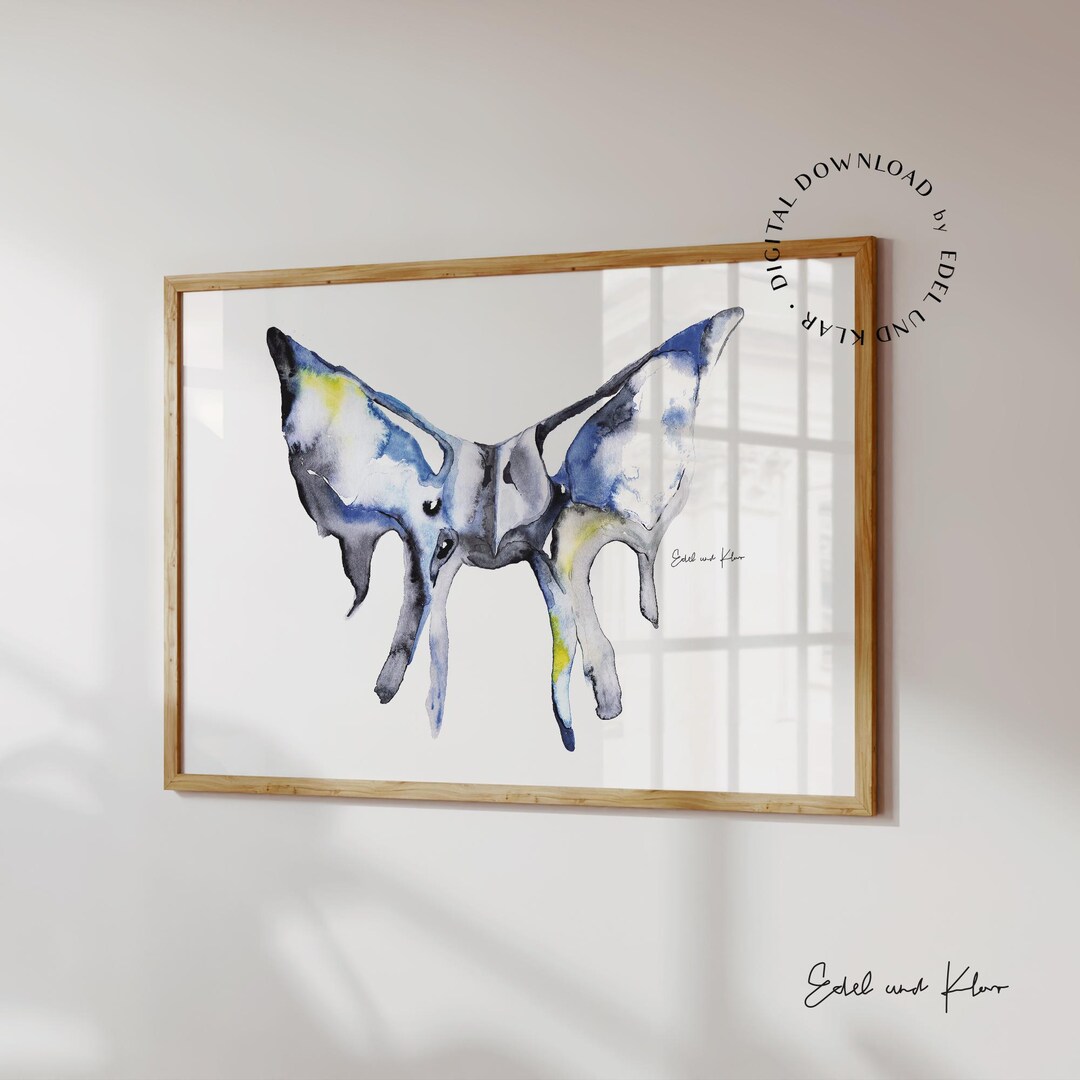 Sphenoid Bone Watercolor | Orthopedic Wall Art, ENT Wall Art, Butterfly ...