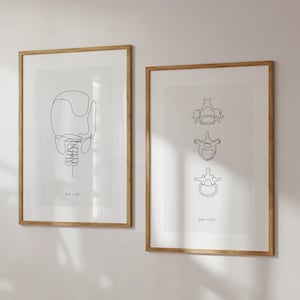 12 Human Skeleton Bundle | Medical Wall Art Anatomy, Bone Sketch Poster ...