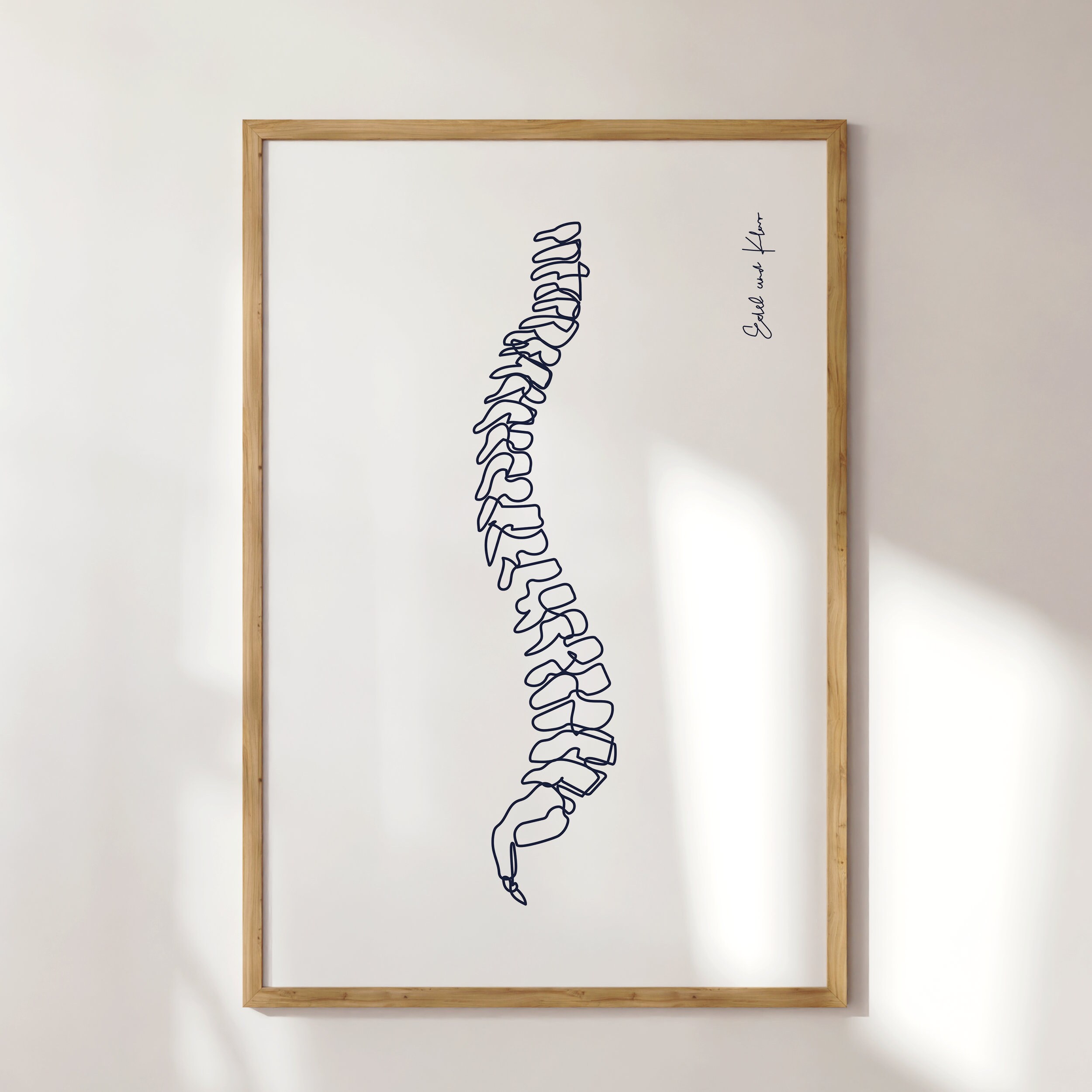 Anatomy Set Blue Vertebrae Spine Anatomy Chiropractic Art - Etsy