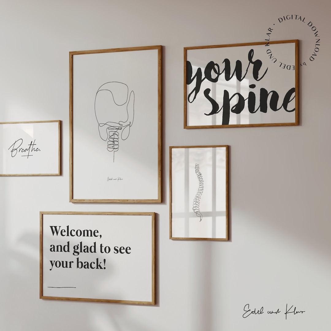 Anatomy Set Typo | Vertebrae, Spine Anatomy, Chiropractic Art Print ...