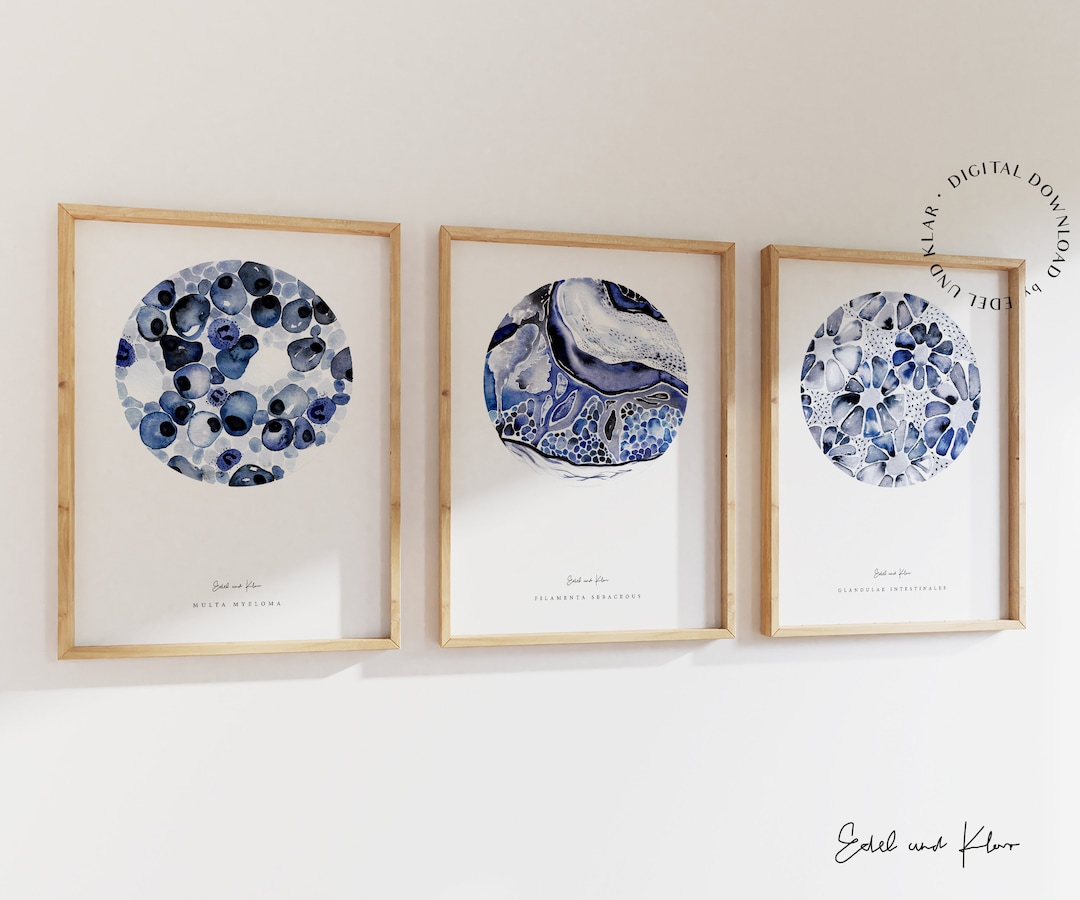 Histology and Pathology Art Set Watercolor | Watercolor, Intestinal ...