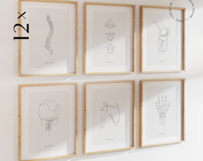 12 Human Skeleton Bundle | Medical Wall Art Anatomy, Bone Sketch Poster ...