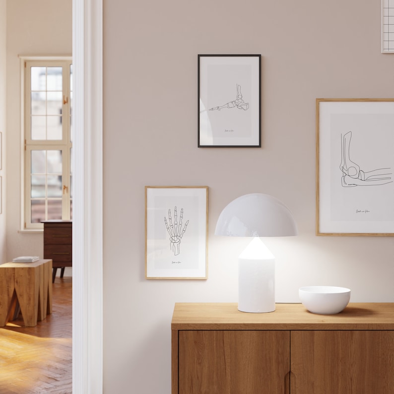 12 Human Skeleton Bundle Medical Wall Art Anatomy Bone - Etsy