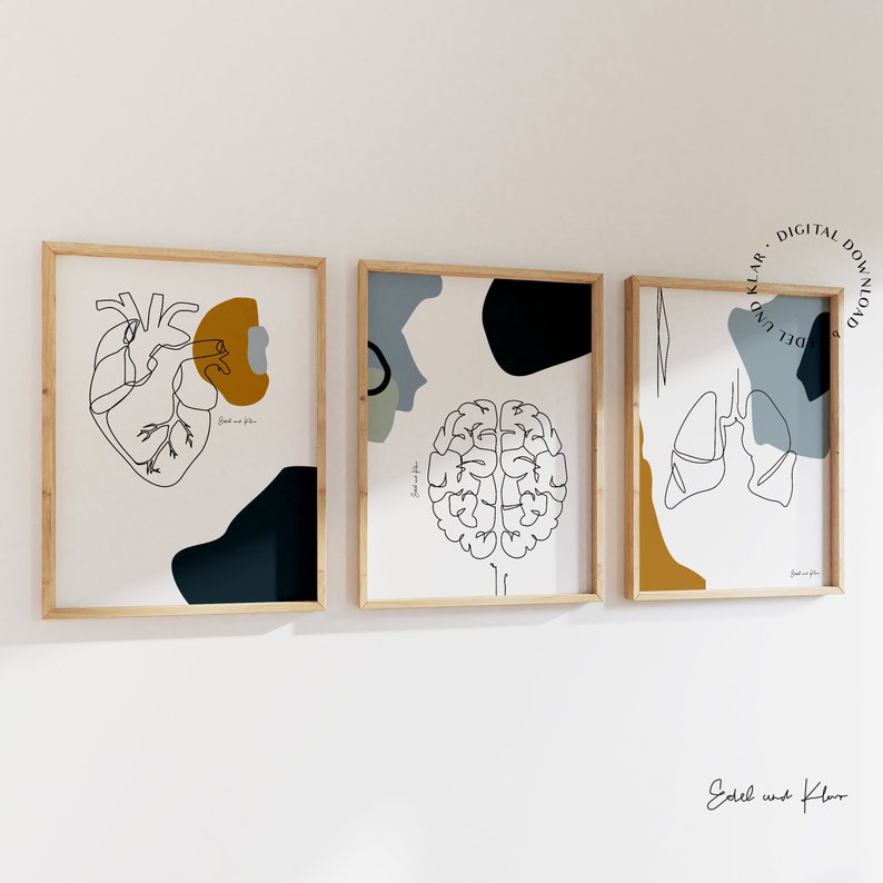 Anatomical Heart Art Wall Art, Brain Office Decor, Minimalistic Anatomy ...